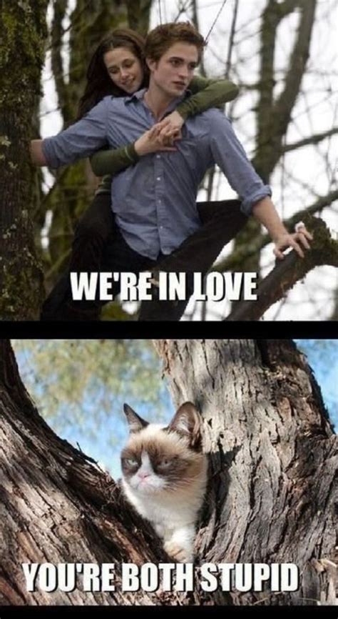 39 Best School Appropriate Memes Images On Pinterest Funny Stuff