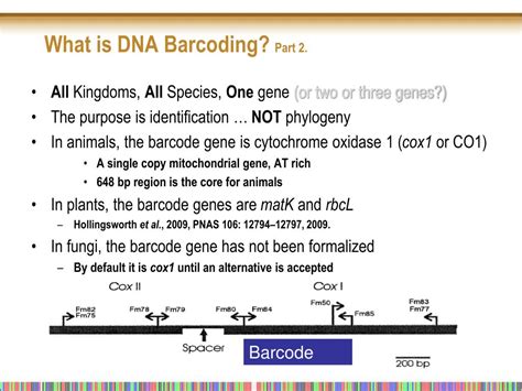 Ppt Promoting Fungi In The Dna Barcoding Movement Powerpoint