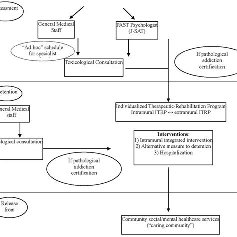 Flow Chart Of Pathological Addiction Interventions In The Parma