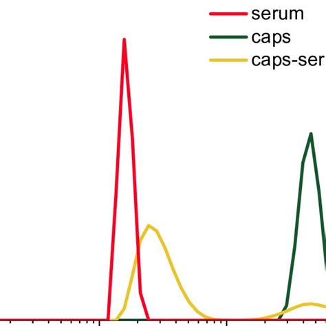 Primer Sequences Used For Reverse Transcription Polymerase Chain
