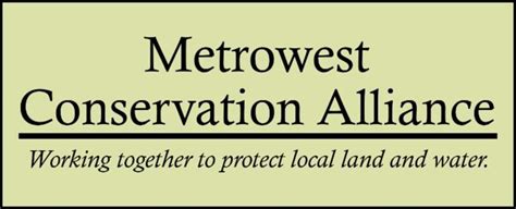 Why And How To Build A Pollination Preservation Garden Middlesex