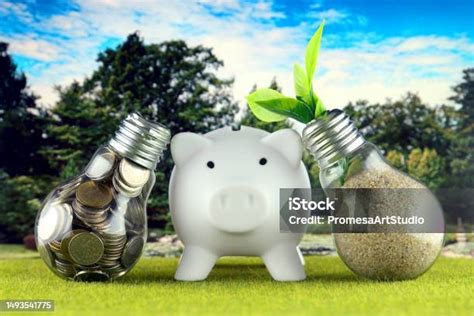 전구 안의 동전 전구 안에서 자라는 식물 돼지 저금통 녹색 에코 재생 에너지 개념입니다 전기 가격 가정의 에너지 절약 0명에 대한 스톡 사진 및 기타 이미지 Istock