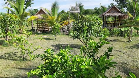 สุดยอดสวนผสมผสานสวยๆ แห่งเมืองมหาสารคาม Youtube