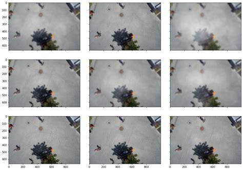 Data Augmentation With Albumentations Julius Data Science Blog