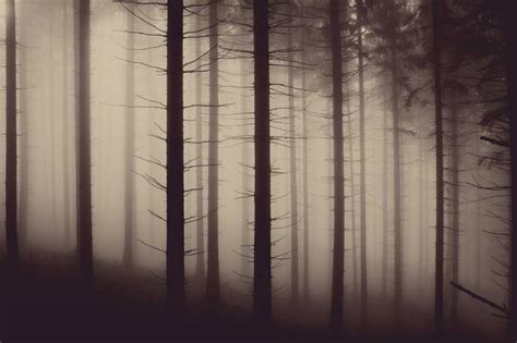 Le Langage Universel De La Nature Carl Alex