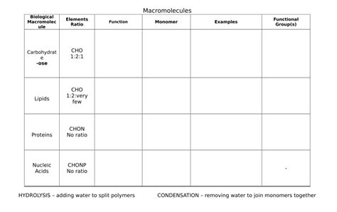 Unit 1 Diagram Quizlet