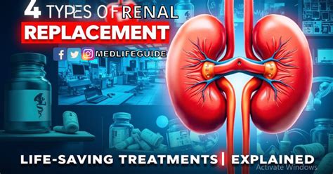 What Are The Four Main Types Of Renal Replacement Therapy