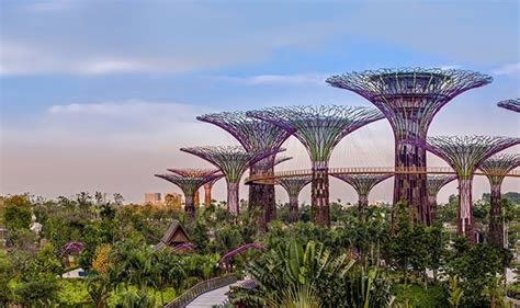 싱가포르 가든스 바이 더 베이 오디오 투어 버스