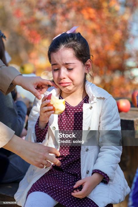 소녀는 울고 사과를 먹고 슬프고 화가났다 엄마는 진정하고 걱정합니다 그들은 가을 도시 공원 밝고 화창한 날과 아름다운 자연에 있습니다 10월에 대한 스톡 사진 및 기타