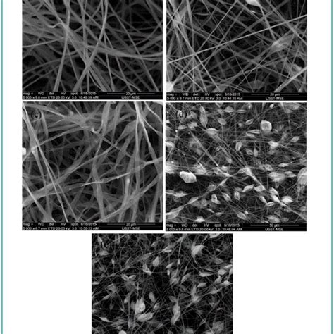 Tem Photographs Of β Tcp Powder A β Tcp B Modify β Tcp Download Scientific Diagram