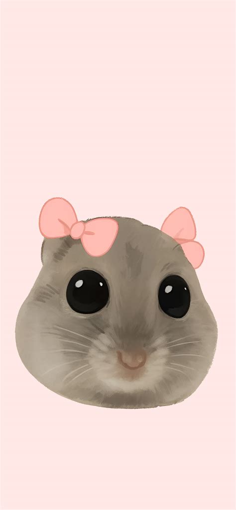 Cute Funny Hamster Meme Wallpapers Minimalist Hd Wallpapers