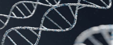 Understanding Peptides And Human Growth Hormone Hgh Benefits Uses