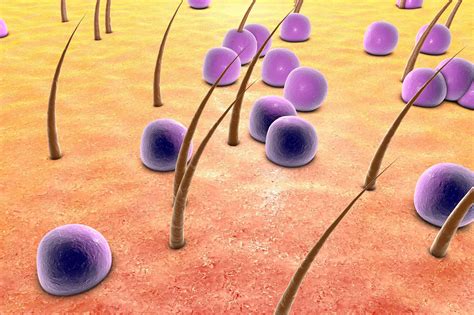 Beautiful And Thick Hair The Key Is A Healthy Scalp Microbiome News