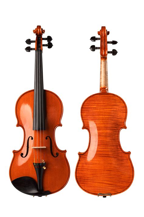 How Many Strings Does A Violin Have Fiddlover Violin Shop How Many Strings Does A Violin Have Fiddlover Violin Shop