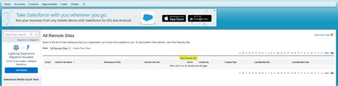 How Do I Add Remote Site Settings To My Salesforce Account