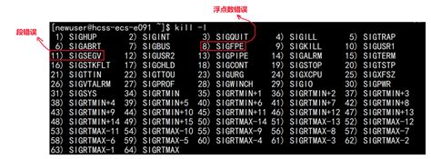 【linux】深入理解进程控制：从创建到终止和进程等待 腾讯云开发者社区 腾讯云