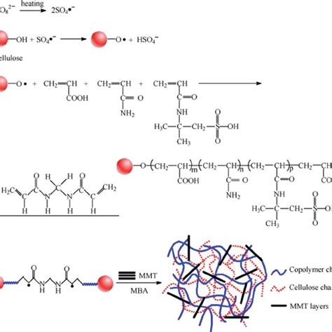 Pdf Advances In Cellulose Based Superabsorbent Hydrogels