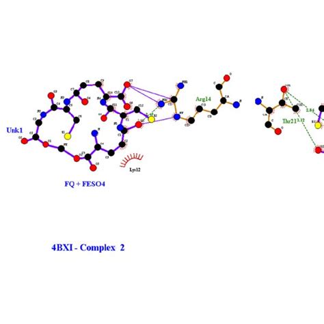 2 D Schematic Representation Of Feso4 And Phytochelatin Bonding With