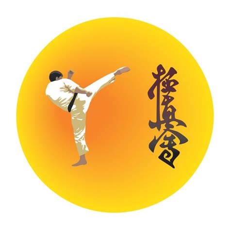 تکواندو عکس با کیفیت تکواندو و وکتور لایه باز تکواندو پارس استاک شاتر