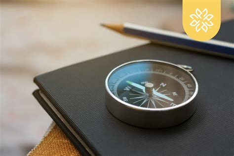 Three Steps To Navigating Product Performance TriscendNP