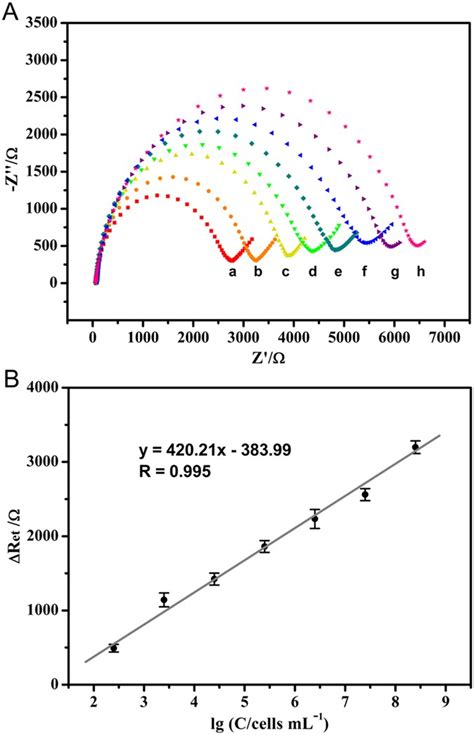 A Label Free Electrochemical Impedance Cytosensor Based On Specific Peptide Fused Phage Selected