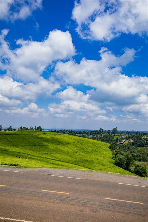 넓은 녹색 들판 사진 Unsplash의 무료 자연 이미지