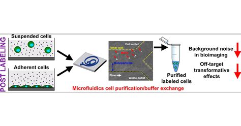 Interference Free Micro Nanoparticle Cell Engineering By Use Of High Throughput Microfluidic