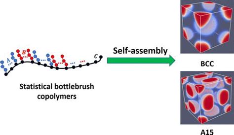 Investigation Of The Self Assembly Behavior Of Statistical Bottlebrush Copolymers Via Self