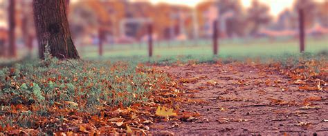 free css free css templates demo of the html css template conquer