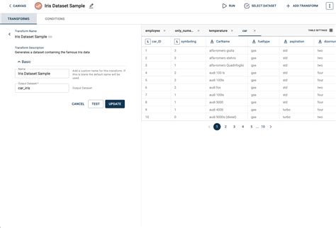 Iris Dataset Sample — Rapidcanvas Documentation