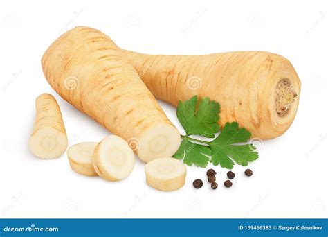 Parsnip Root And Slices With Parsley Peppercorns Isolated On White Background Closeup Stock