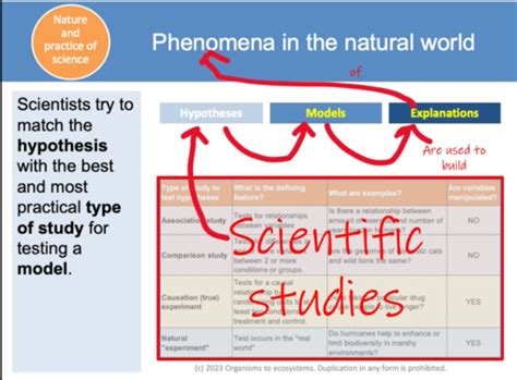 Bio 201 Units 1 And 2 Flashcards Quizlet