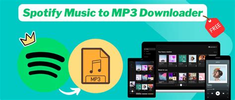 How To Make Spotify Music Louder Try 7 Methods Audicable