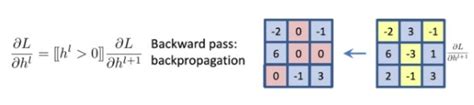 Guided Backpropagation Coding Ninjas