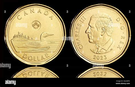 The First Canadian Loonie 1 Coin With A Portrait Of King Charles Iii