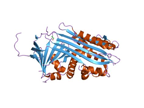 Plasminogen Activator Inhibitor An Important Component Of The Plasminogen Activator Inhibitor An Important Component Of The