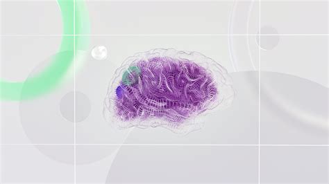 What Is Multi Modal Ai Prolific