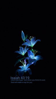 Bible Verse Black Background