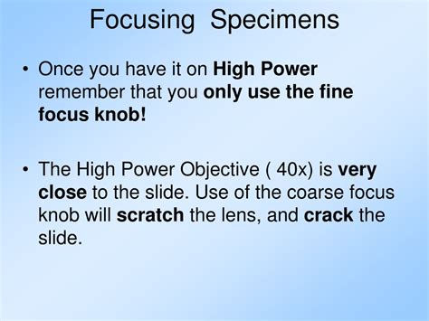 Ppt Parts Of The Compound Light Microscope Powerpoint Presentation Free Download Id1172448