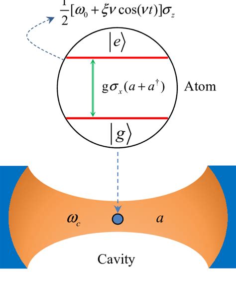 Color Online Schematic Of The Quantum Rabi Model A Quantum Two Level