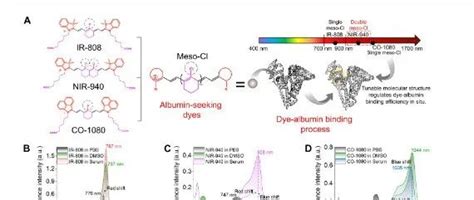 Science Advances 原位白蛋白标记用于内皮屏障破坏的靶向成像 Book学术