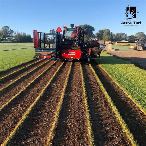 Lawn Solutions Australia Active Turf Supplies