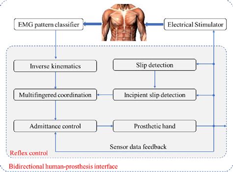 figure 2 from design and experimental evaluation of a sensorimotor