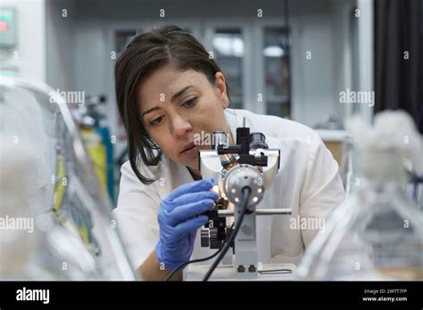 Attractive Female Scientist Testing Using Microscope To Test For Dna