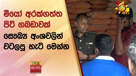 මීයෝ අරක්ගත්ත පිටි ගබඩාවක් සෞඛ්‍ය අංශවලින් වටලපු හැටි මෙන්න Hiru News Youtube
