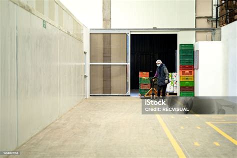 과일 유통 공장 노동자가 유기농 식품 생산 공장의 팔레트 트럭에서 상자를 옮기고 있다 30 39세에 대한 스톡 사진 및 기타