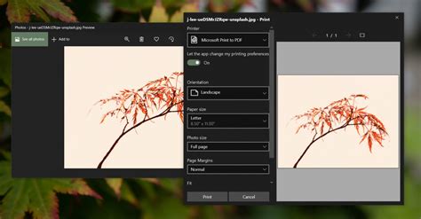 Windows Photos Crash When Printing Heres The Fix