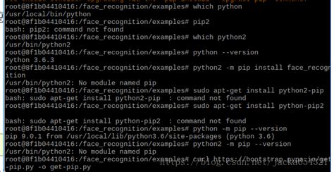 默认python3版本，python2没有pip2模块，解决方案 无pip2 csdn博客