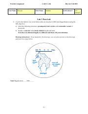 Post Lab Assignment On Cells Drawing And Measurement Course Hero